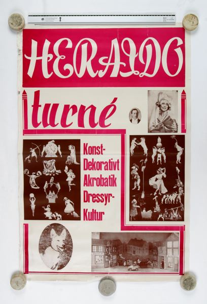 Kringla - affisch, Heraldos berömda dressyrrevy