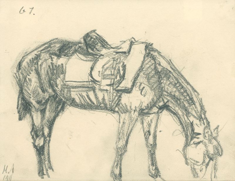 Kringla - teckning, blyertsteckning, Hjalmar Asp -teckning