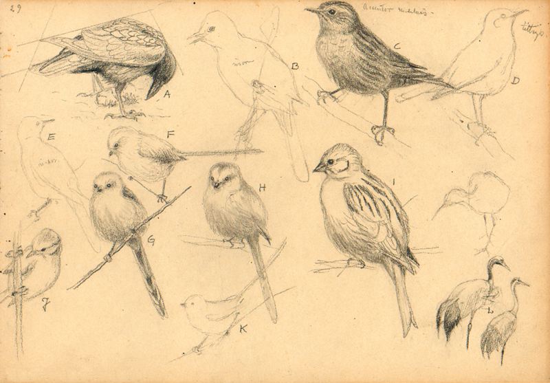 Kringla - teckning, blyertsteckning