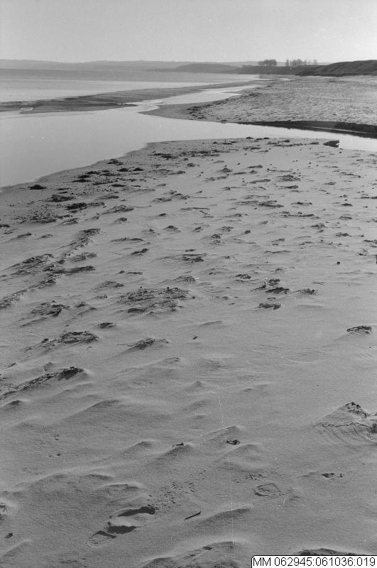 Kringla - stränder, österlen, vatten, sand, strand, hav