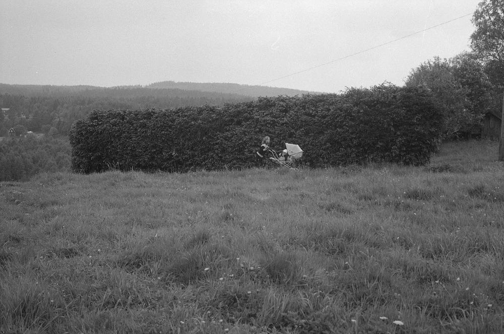 Kringla - bebis, skällarbyn, syskon, skog, natur, barnvagn, skogslandskap