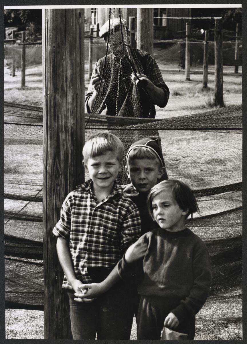 Kringla - barn, stuga, träställningar, träställning, bönhamn, fiskenät ...